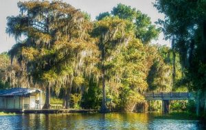 Weather-Ready Kids: Preparing Cross Creek Children for Florida's Unique ...